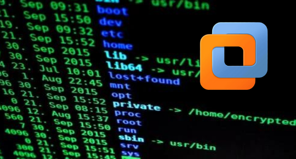 Several VMware Products Affected by Heap-overflow Vulnerability. Several VMware Products Affected by Heap-overflow Vulnerability.