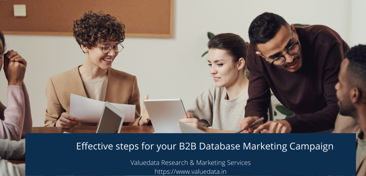 Effective steps for your B2B Database Marketing Campaign Effective steps for your B2B Database Marketing Campaign
