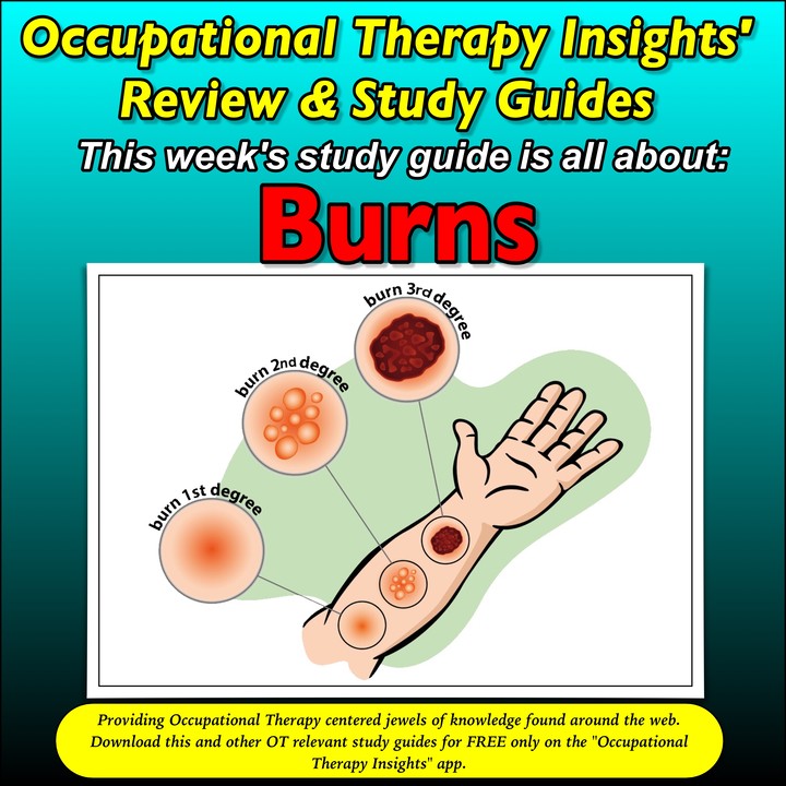Burns: OT Study Guide and Review Burns: OT Study Guide and Review