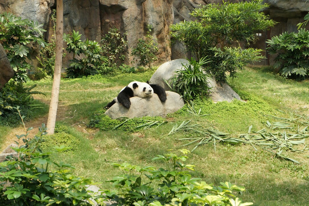 8 Ways to Filter DataFrames on Pandas 8 Ways to Filter DataFrames on Pandas