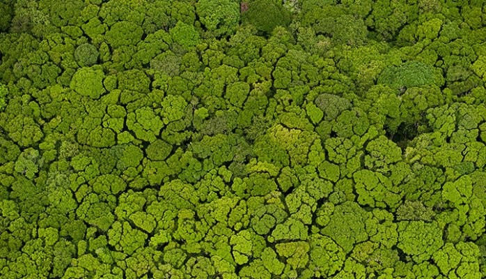 Five practical steps to give oxygen to the SDGs Five practical steps to give oxygen to the SDGs