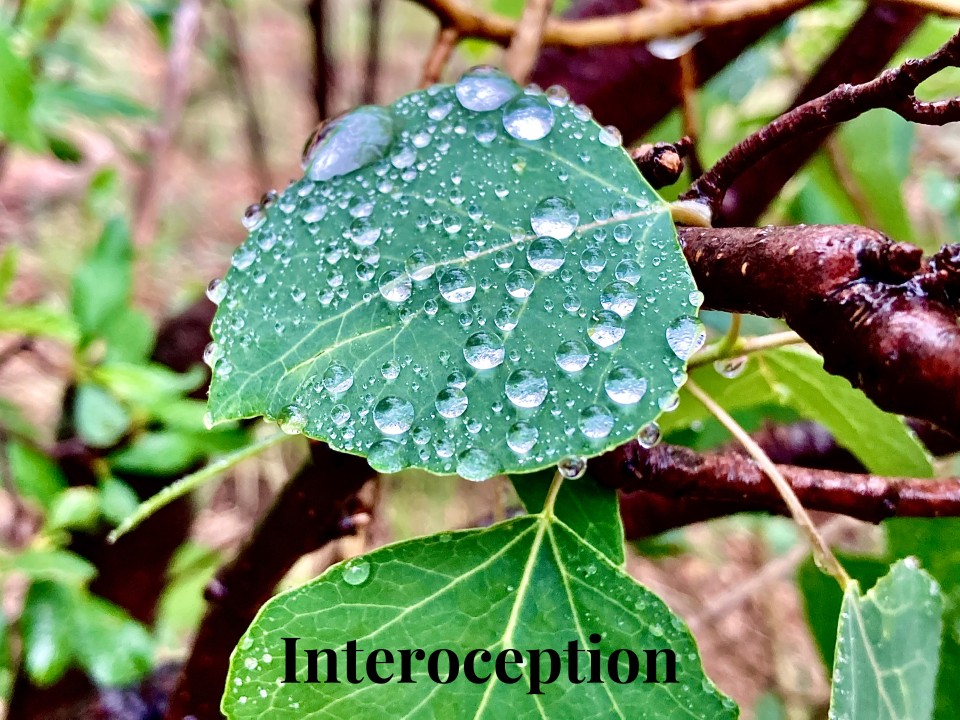 Interoceptive Awareness Interoceptive Awareness