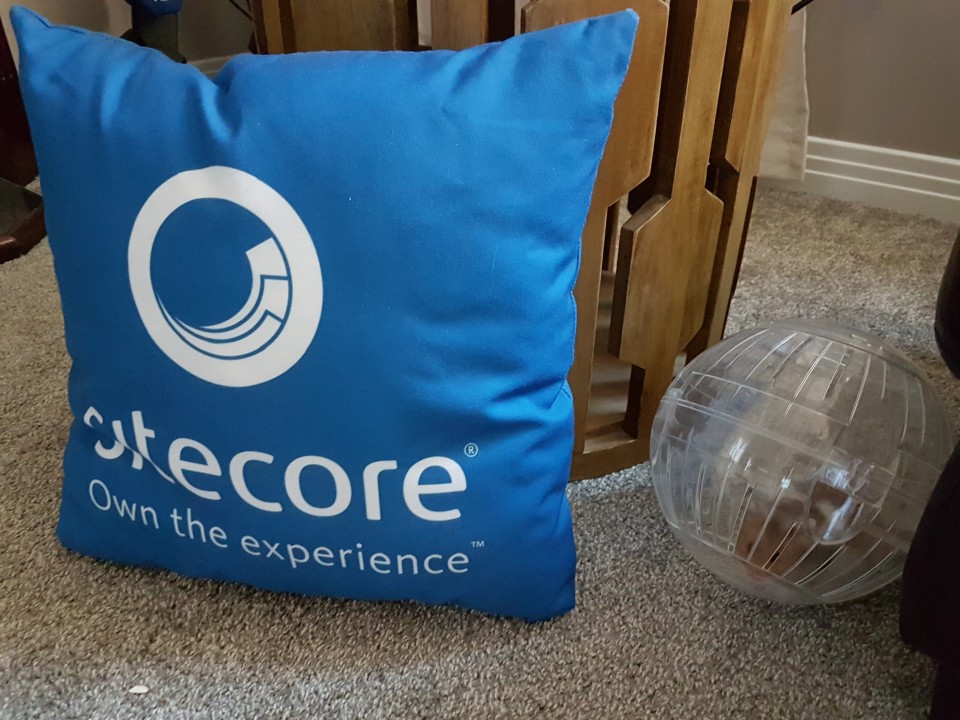 Integrating Sitecore XP with Content Hub Integrating Sitecore XP with Content Hub