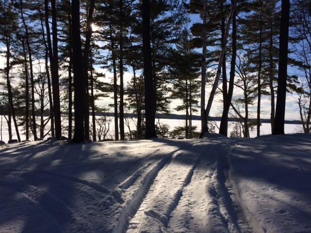 Thought for the Day ~ Finding Stillness and Peace Thought for the Day ~ Finding Stillness and Peace
