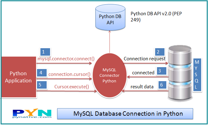 Python Database Connection Tutorial Python Database Connection Tutorial
