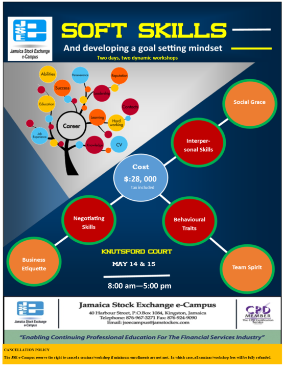 SOFT SKILLS AND DEVELOPING A GOAL SETTING MINDSET SOFT SKILLS AND DEVELOPING A GOAL SETTING MINDSET