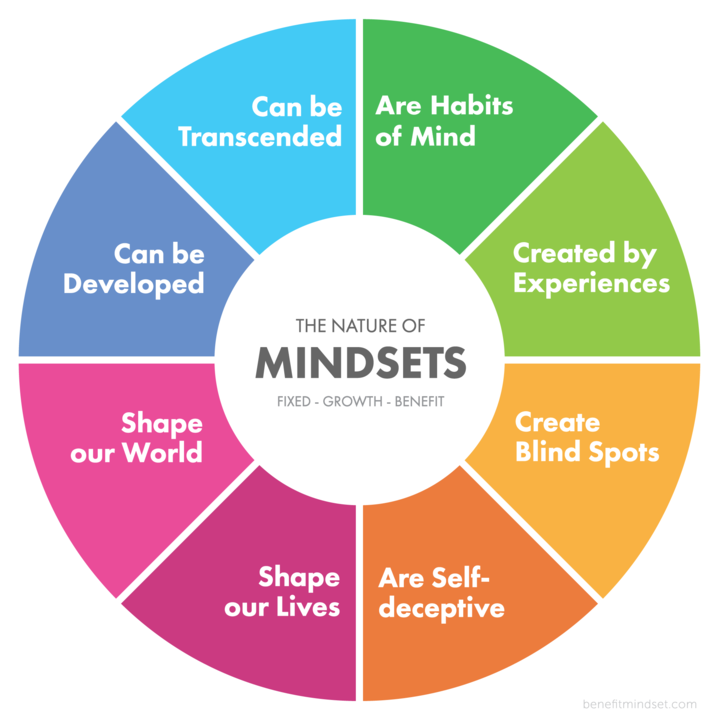 The nature of mindsets The nature of mindsets