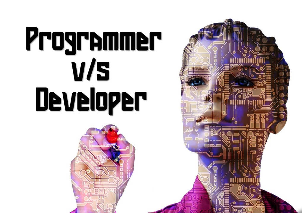 What’s the Difference Between a Developer and a Programmer? What’s the Difference Between a Developer and a Programmer?