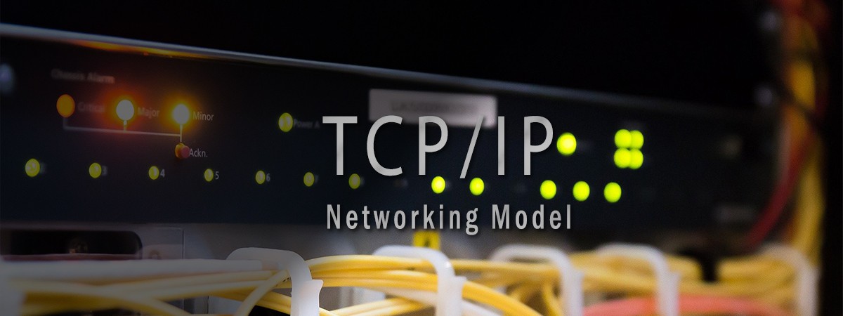 TCP/ IP Networking model TCP/ IP Networking model