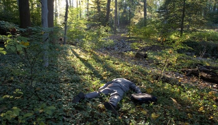 Hundreds of genes seen sparking to life two days after death Hundreds of genes seen sparking to life two days after death
