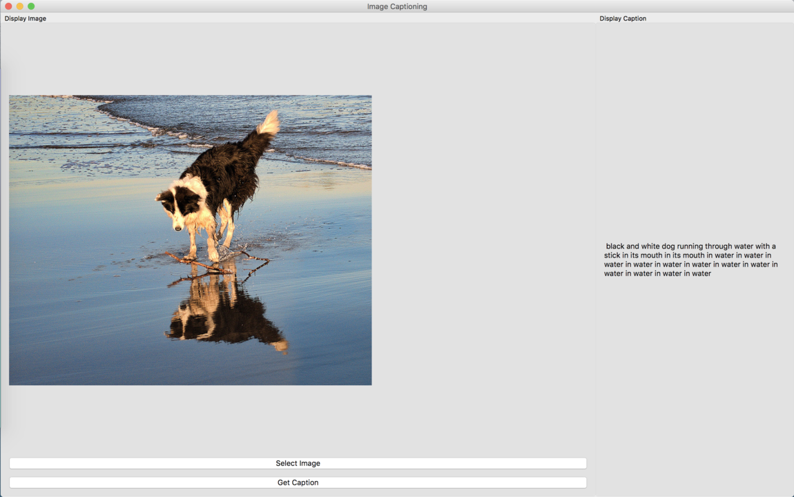 Image Captioning using deep learning - Open Source Software Image Captioning using deep learning - Open Source Software