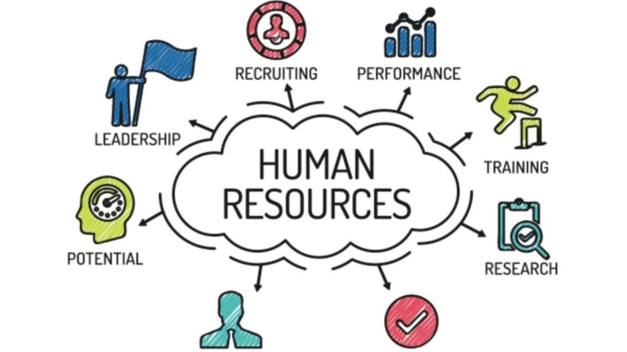 What are HR techniques and tools? What are HR techniques and tools?