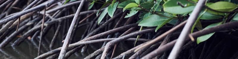 René Benguerel on LinkedIn: Climate-smart and nature-positive seafood ... René Benguerel on LinkedIn: Climate-smart and nature-positive seafood ...