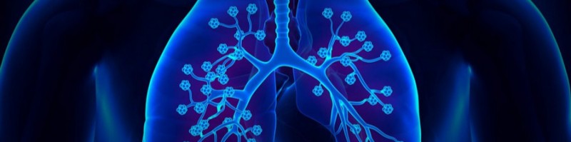 Albert Gargarita RRT on LinkedIn: Stanford researchers help show it’s ... Albert Gargarita RRT on LinkedIn: Stanford researchers help show it’s ...