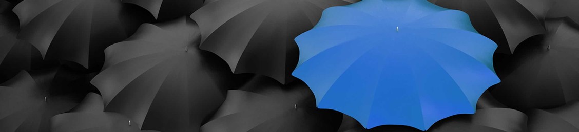 Blue Umbrella Pty Ltd on LinkedIn: Have you heard of the PDCA cycle? It ... Blue Umbrella Pty Ltd on LinkedIn: Have you heard of the PDCA cycle? It ...