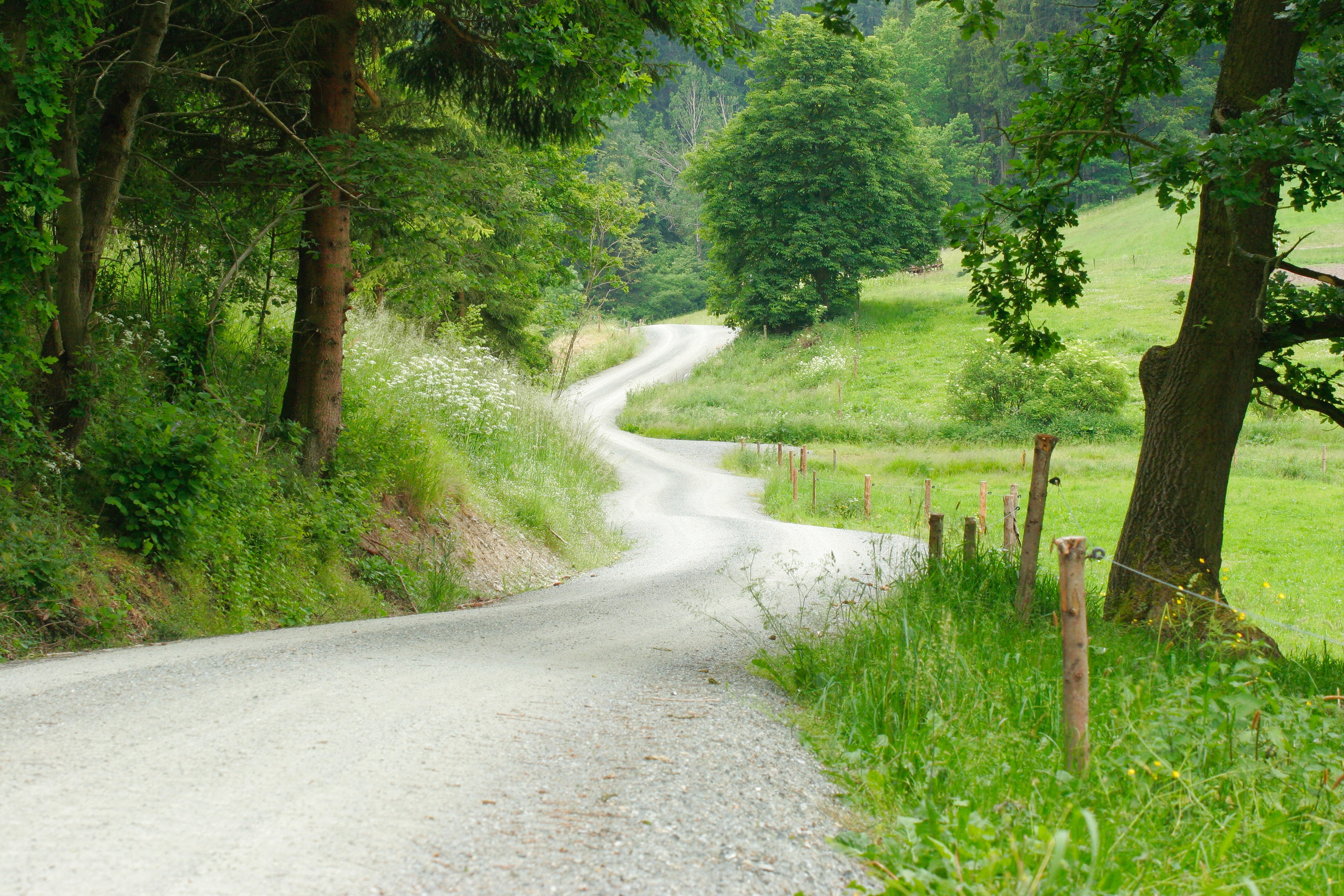 Unexplored Path | LinkedIn Unexplored Path | LinkedIn