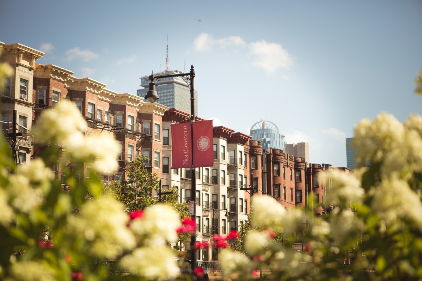 Northeastern University Graduate Admissions | LinkedIn Northeastern University Graduate Admissions | LinkedIn