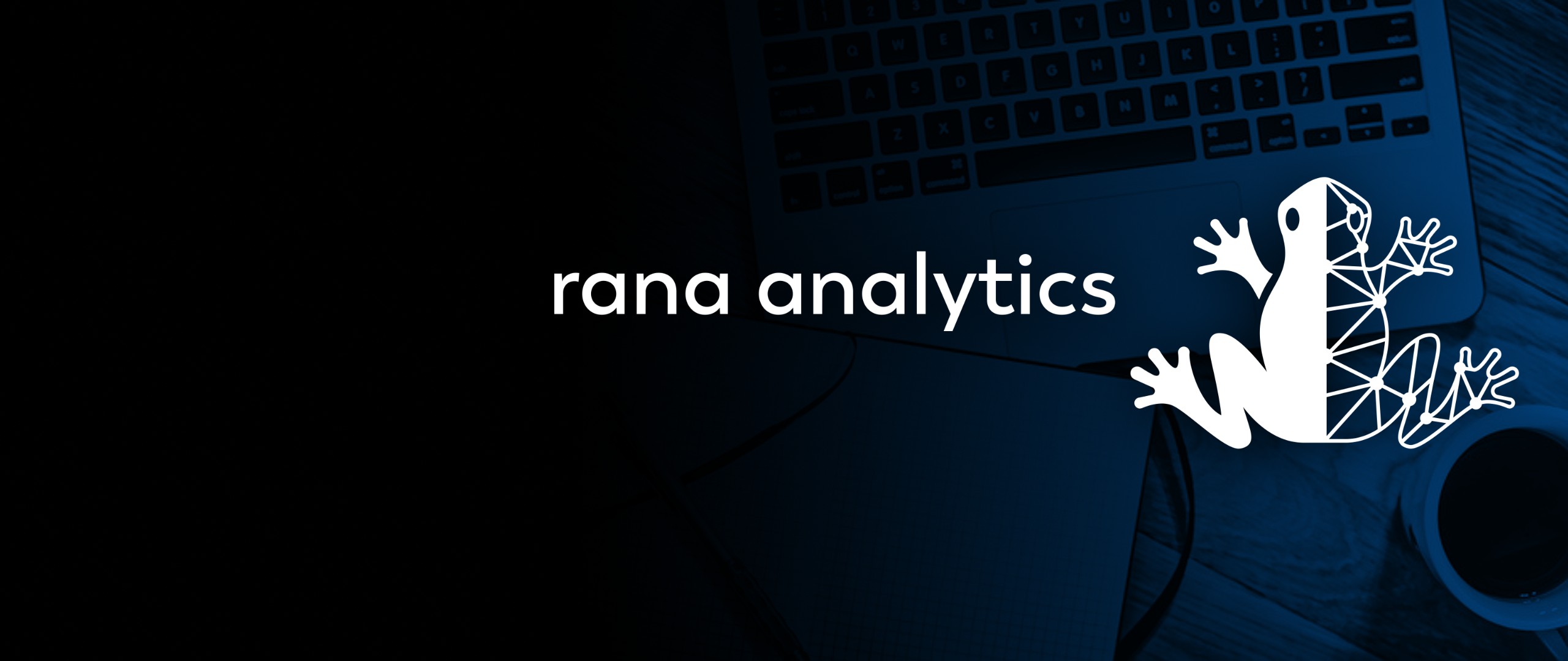 Rana Analytics | LinkedIn Rana Analytics | LinkedIn