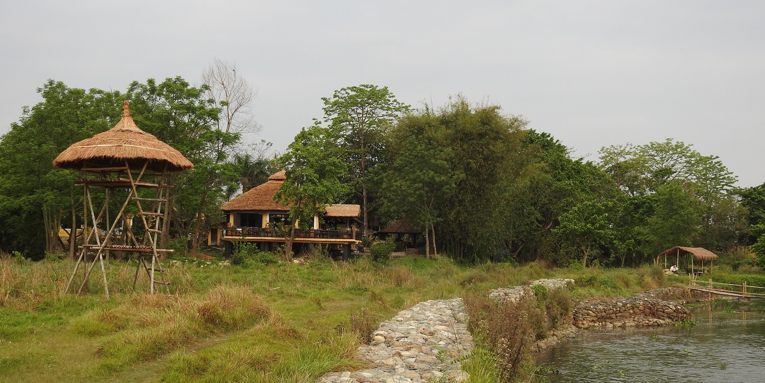 Sapana Village Lodge on LinkedIn: Elephant bush walk | special program ... Sapana Village Lodge on LinkedIn: Elephant bush walk | special program ...