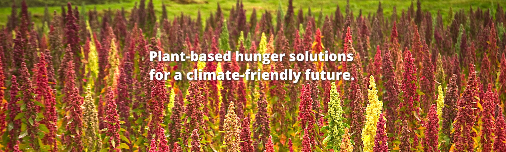 A Well-Fed World on LinkedIn: Animal-Free Agriculture Is Key to ... A Well-Fed World on LinkedIn: Animal-Free Agriculture Is Key to ...