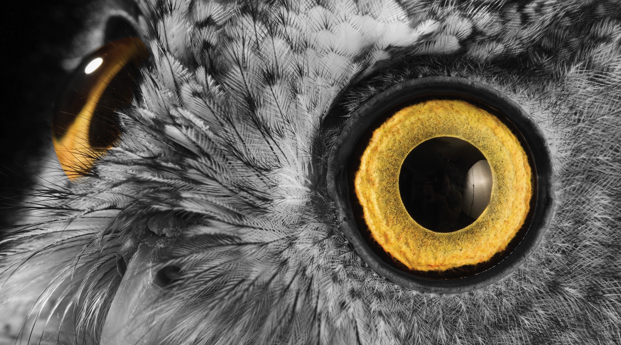 Observe Propaganda | LinkedIn Observe Propaganda | LinkedIn