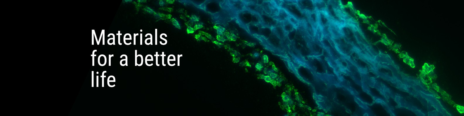 DWI - Leibniz Institute for Interactive Materials | LinkedIn DWI - Leibniz Institute for Interactive Materials | LinkedIn