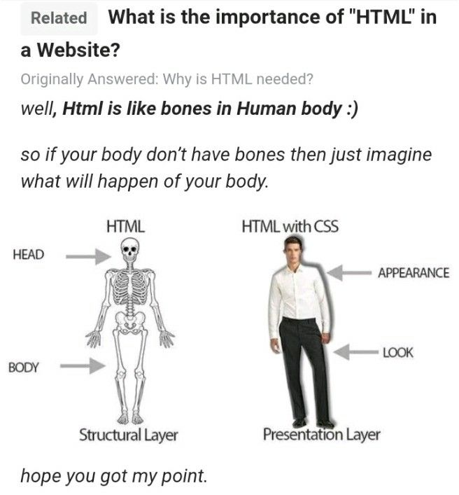 Nishu Kumari on LinkedIn: HTML with CSS Nishu Kumari on LinkedIn: HTML with CSS