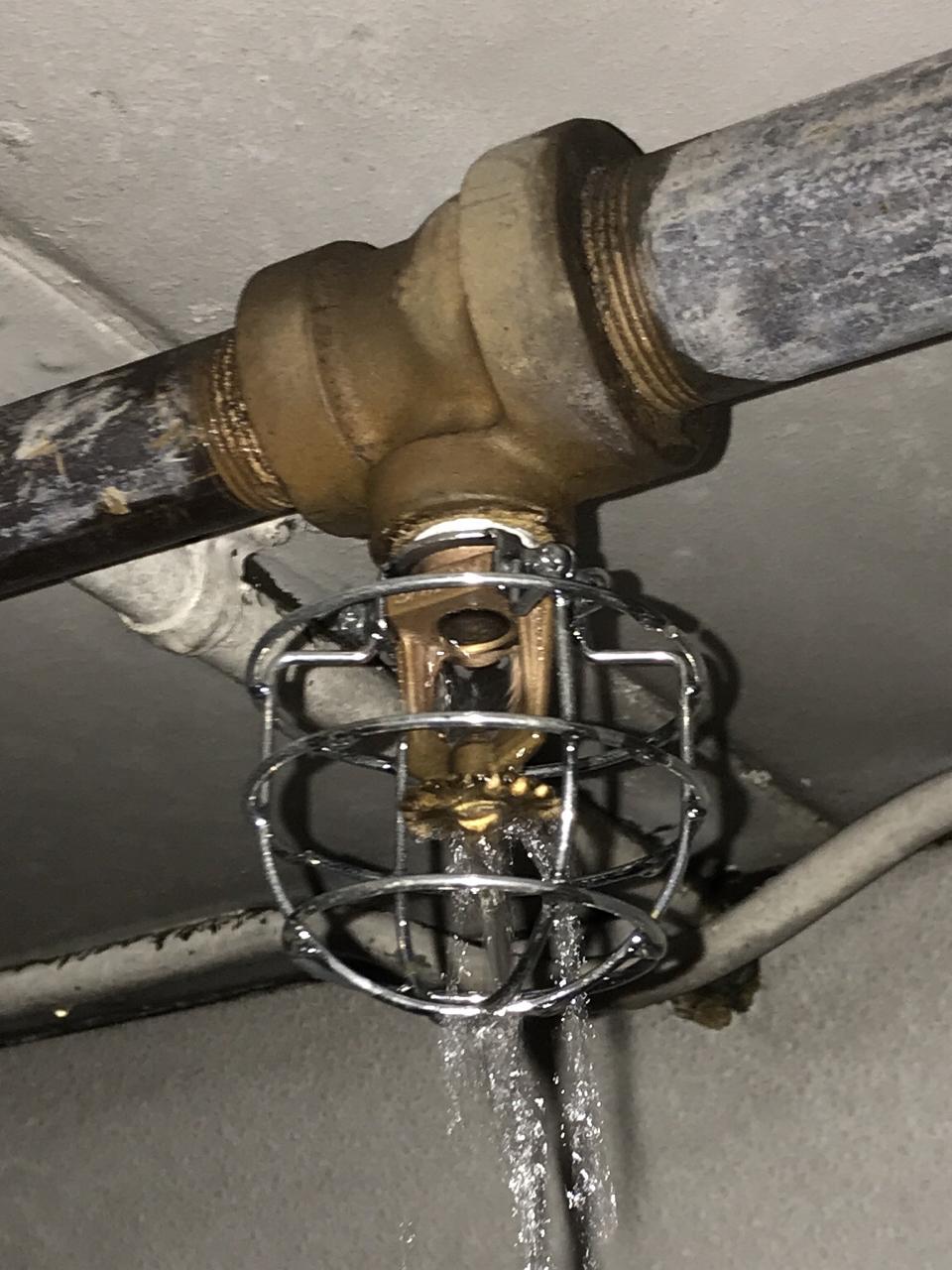 Paul Richard, CFI on LinkedIn: #fastestwater #firesprinkler Paul Richard, CFI on LinkedIn: #fastestwater #firesprinkler