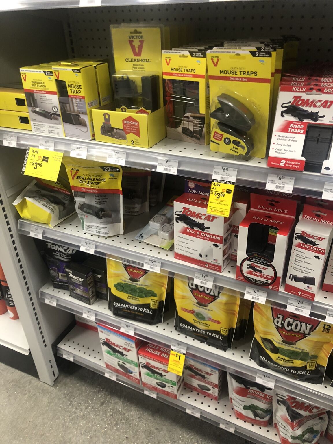 Ben Sholes on LinkedIn: When it’s cold mice and rats seek shelter in a ... Ben Sholes on LinkedIn: When it’s cold mice and rats seek shelter in a ...