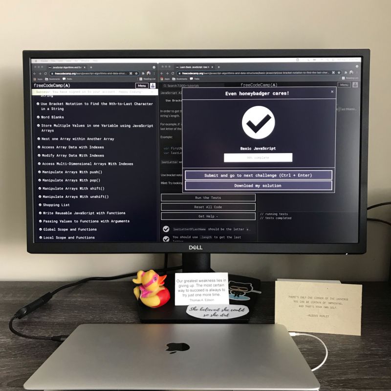 Kate Franks on LinkedIn: #javascript #freecodecamp #coding # ... Kate Franks on LinkedIn: #javascript #freecodecamp #coding # ...