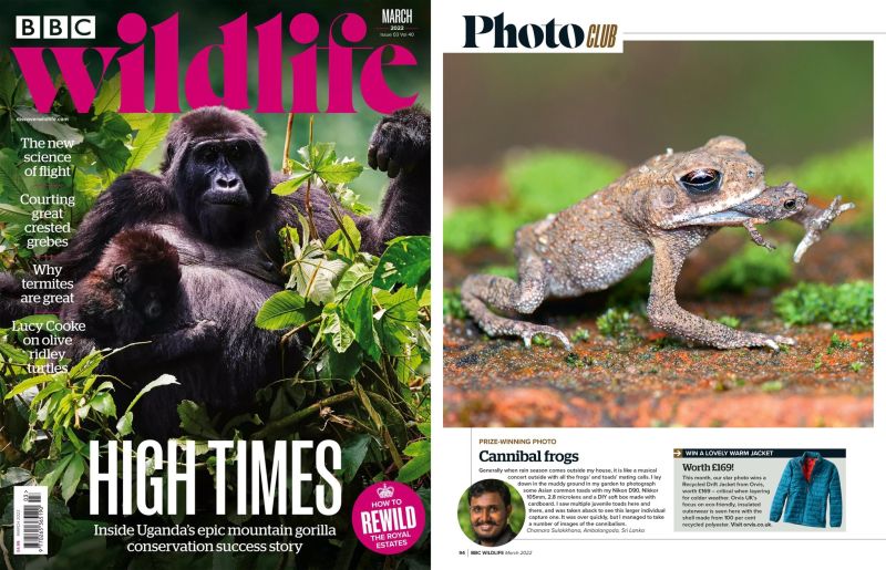 Sameera Shaakunthala on LinkedIn: #photography #wildlife #bbc #srilanka Sameera Shaakunthala on LinkedIn: #photography #wildlife #bbc #srilanka