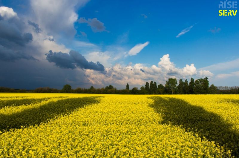 RiseServ on LinkedIn: #riseserv #ukraine #standwithukraine RiseServ on LinkedIn: #riseserv #ukraine #standwithukraine
