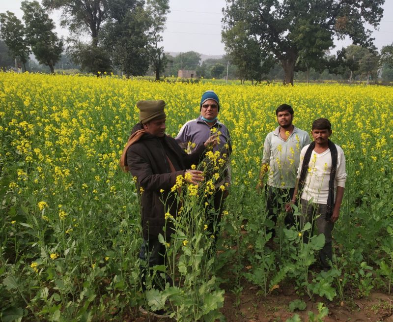Dr. Rakesh Kumar Prajapati on LinkedIn: field visit Dr. Rakesh Kumar Prajapati on LinkedIn: field visit