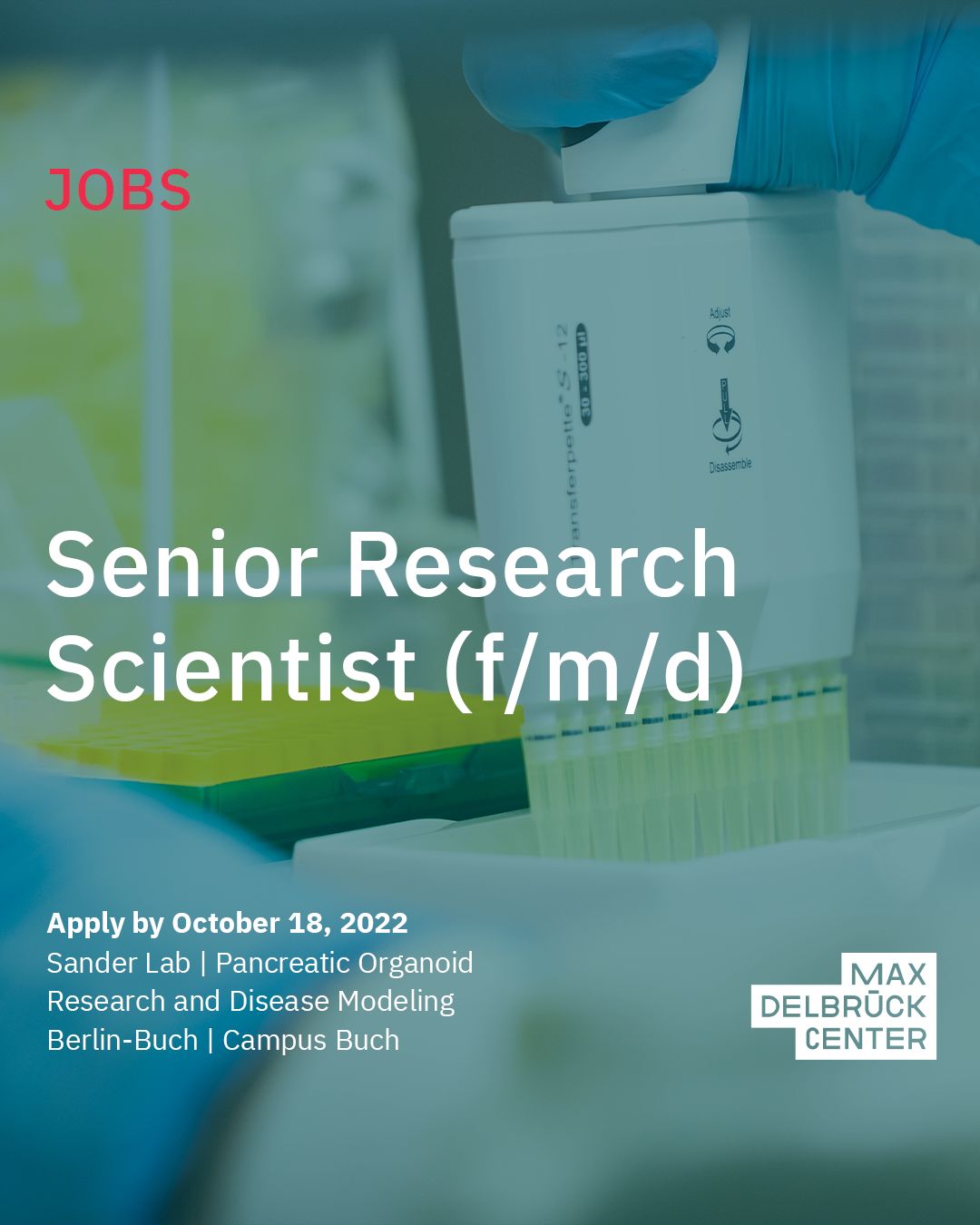 Stephan Werk on LinkedIn: Senior Research Scientist (F/M/D) Stephan Werk on LinkedIn: Senior Research Scientist (F/M/D)