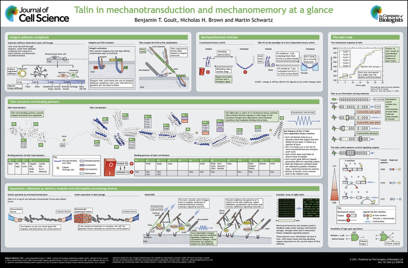 Ben Goult on LinkedIn: #meshcode #talin Ben Goult on LinkedIn: #meshcode #talin