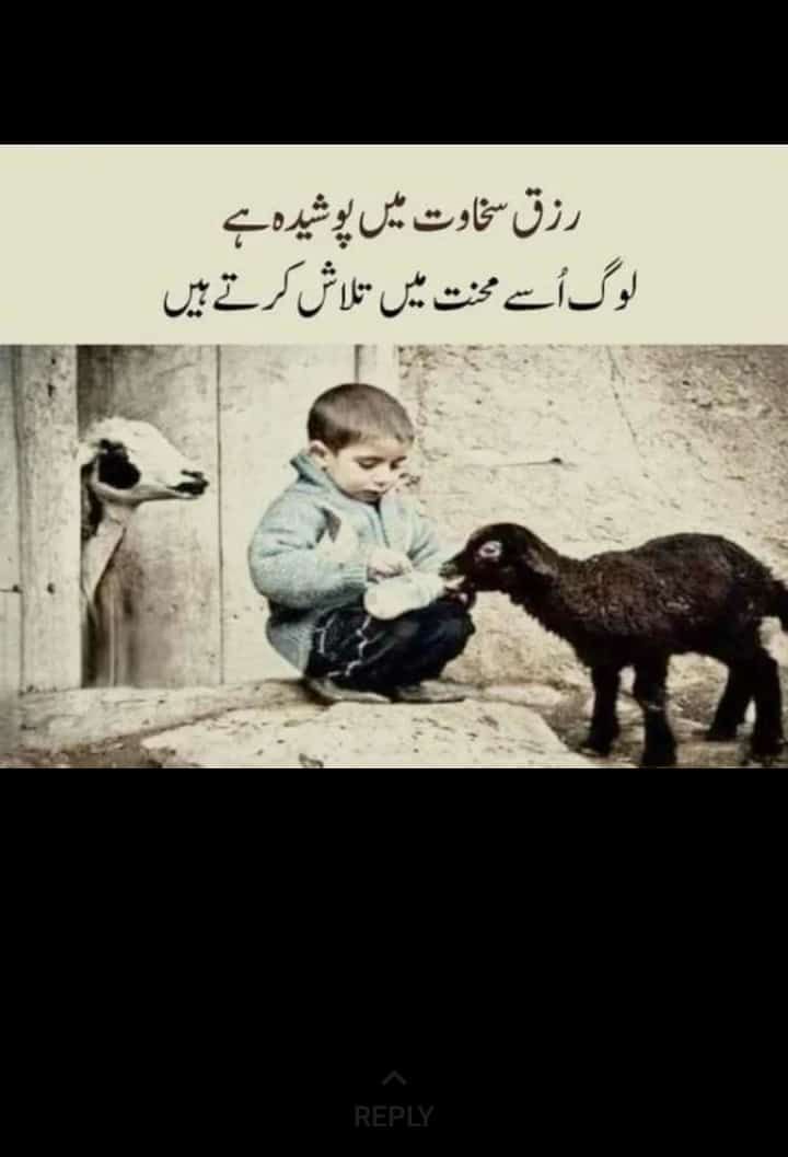 Hamid Hussain posted on LinkedIn Hamid Hussain posted on LinkedIn