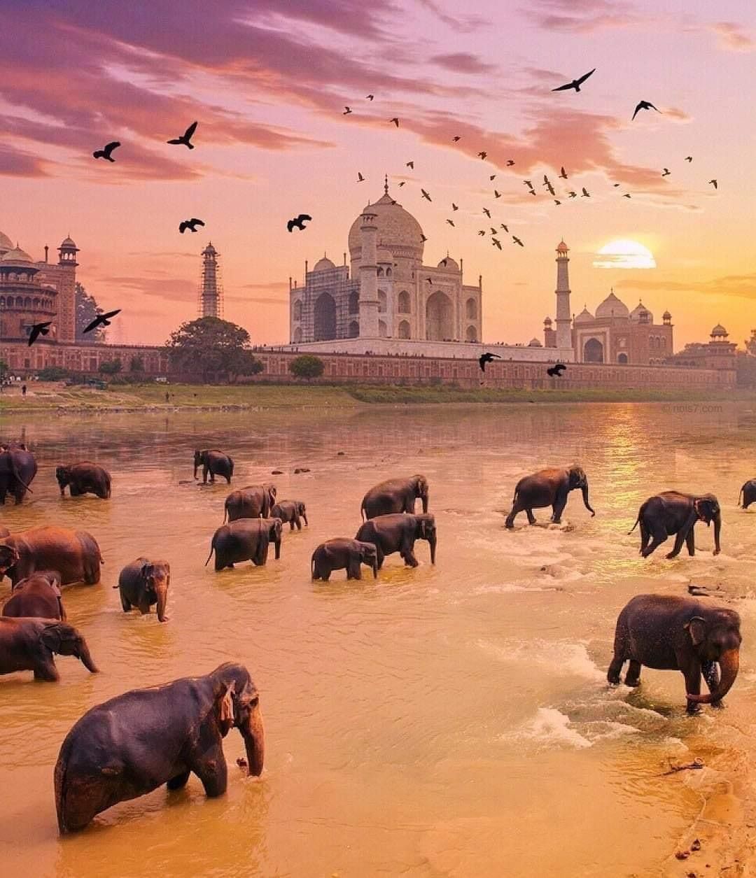 Maria Crestin on LinkedIn: Taj Mahal. India | 153 comments Maria Crestin on LinkedIn: Taj Mahal. India | 153 comments