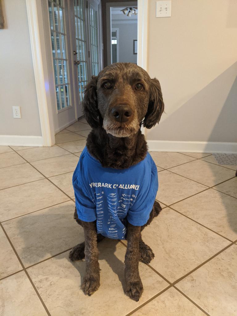 CyberArk on LinkedIn: Paws up 🐾 if you believe security is a team game ... CyberArk on LinkedIn: Paws up 🐾 if you believe security is a team game ...