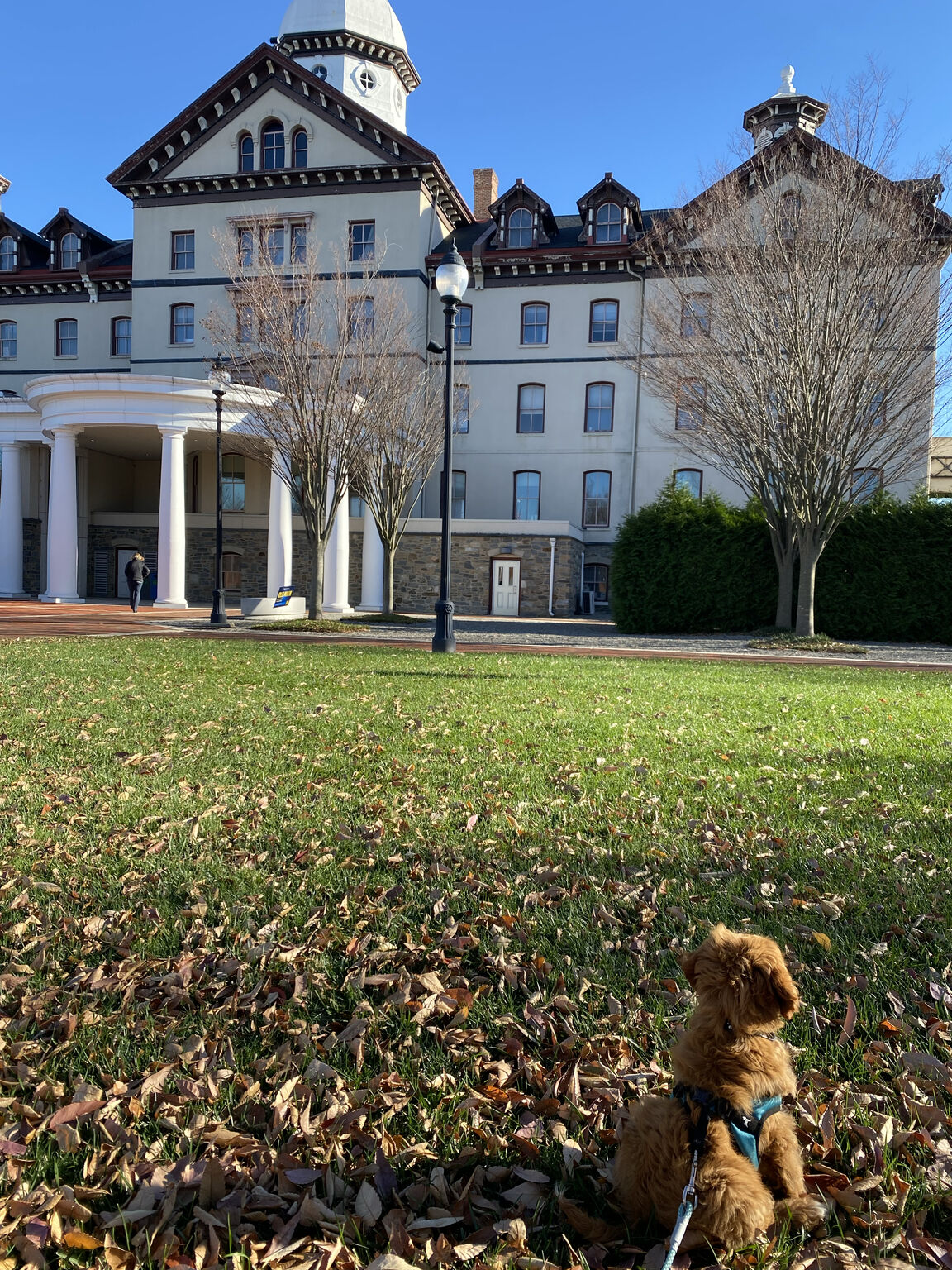 Linda Kiraly Gilbert, MBA on LinkedIn: #widenerpride #oldmain | 24 comments Linda Kiraly Gilbert, MBA on LinkedIn: #widenerpride #oldmain | 24 comments