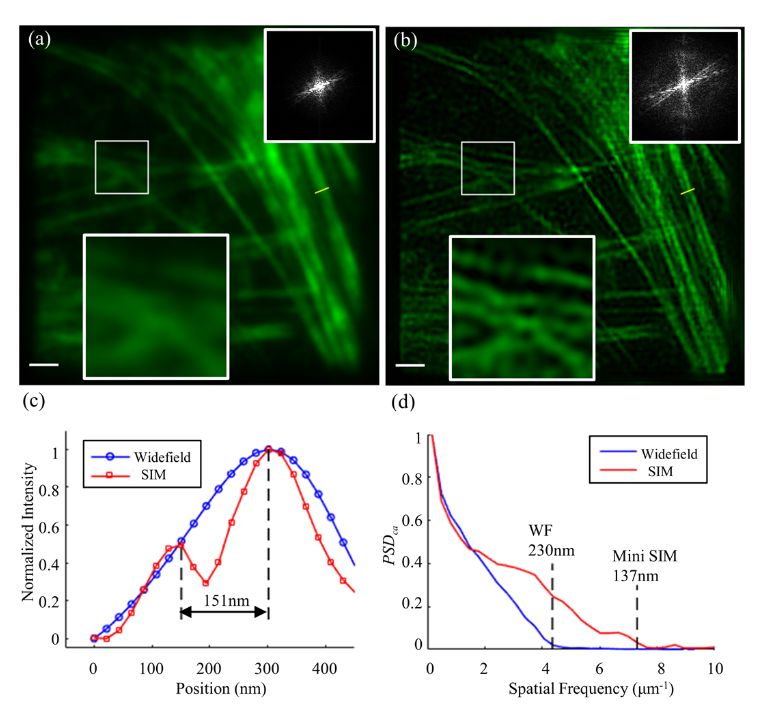Volodymyr Nechyporuk-Zloy on LinkedIn: Compact structured illumination ... Volodymyr Nechyporuk-Zloy on LinkedIn: Compact structured illumination ...
