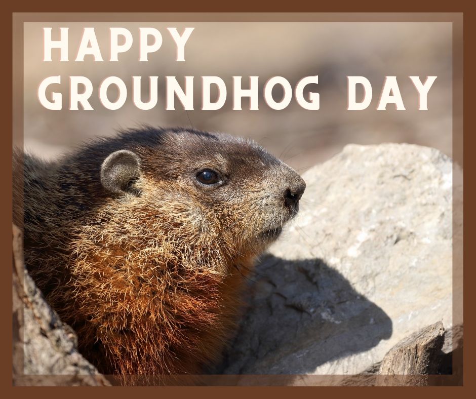 Barry Thomason on LinkedIn: What are you hoping the groundhog shares ... Barry Thomason on LinkedIn: What are you hoping the groundhog shares ...