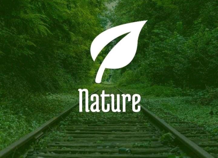 Aung Naing Oo on LinkedIn: The Nature Aung Naing Oo on LinkedIn: The Nature