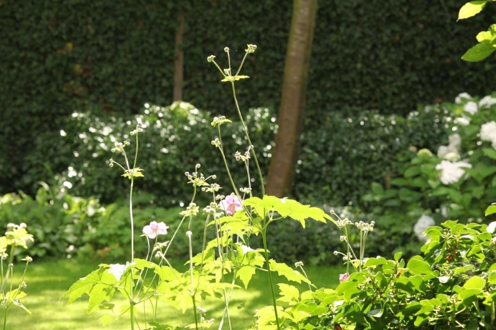 Bas Gijsbers on LinkedIn: Wat te doen met de tuin tijdens deze droogte ... Bas Gijsbers on LinkedIn: Wat te doen met de tuin tijdens deze droogte ...