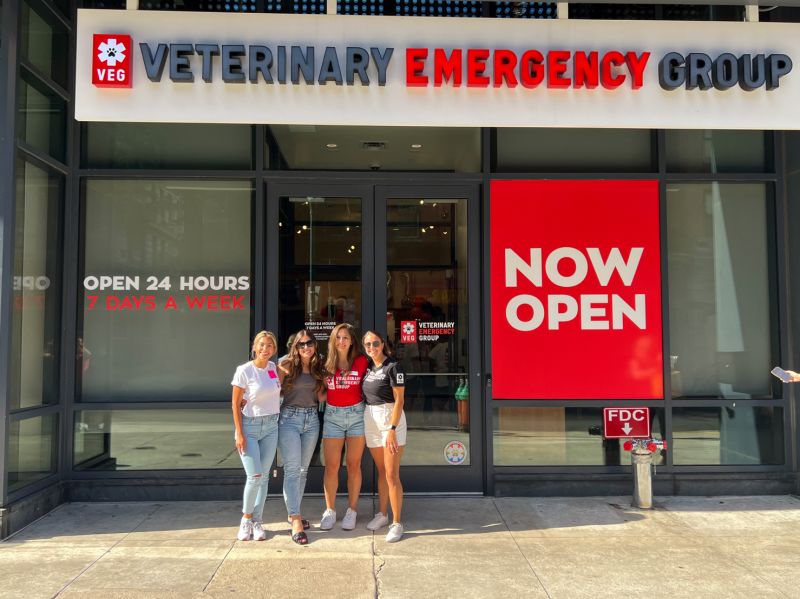 Rebecca Bosley on LinkedIn: #veterinarymedicine #grandopening # ... Rebecca Bosley on LinkedIn: #veterinarymedicine #grandopening # ...