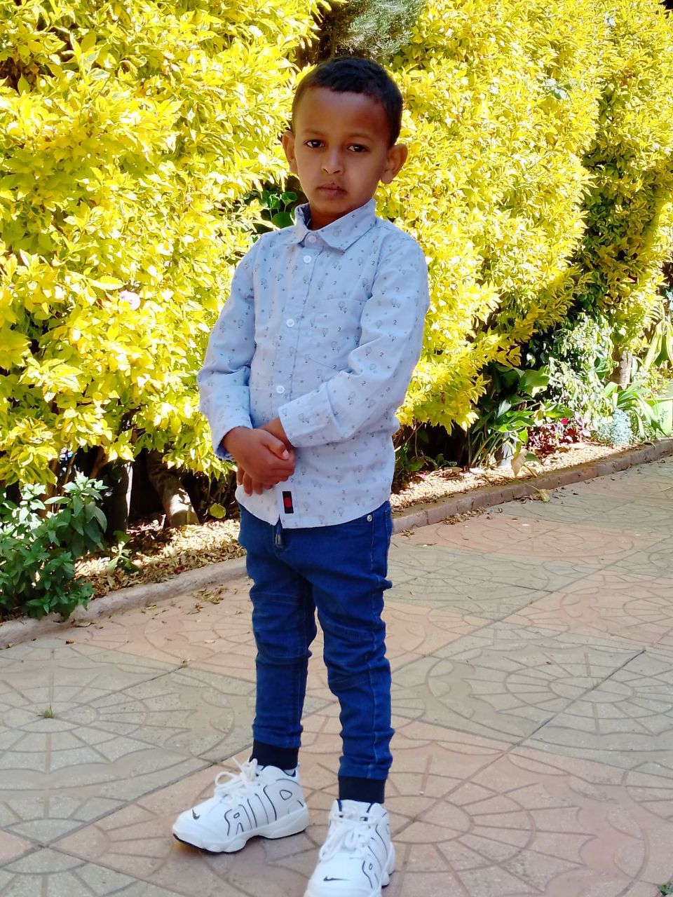 Hailu Tadesse Bekele on LinkedIn: My lovely Baby Sabaif Hailu Hailu Tadesse Bekele on LinkedIn: My lovely Baby Sabaif Hailu