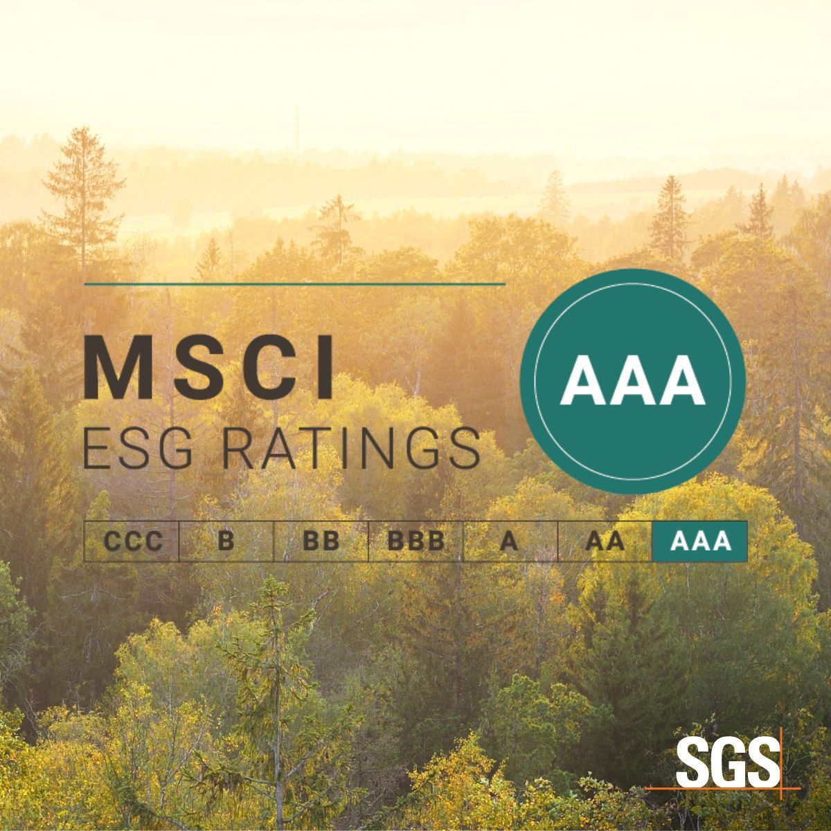 SGS Academy on LinkedIn: #wearesgs #value2society #esg SGS Academy on LinkedIn: #wearesgs #value2society #esg