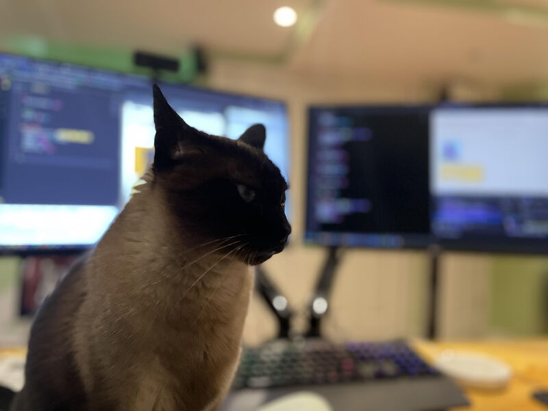 Kyle Hurley on LinkedIn: #coding #webdevelopment #javascript #html #css ... Kyle Hurley on LinkedIn: #coding #webdevelopment #javascript #html #css ...