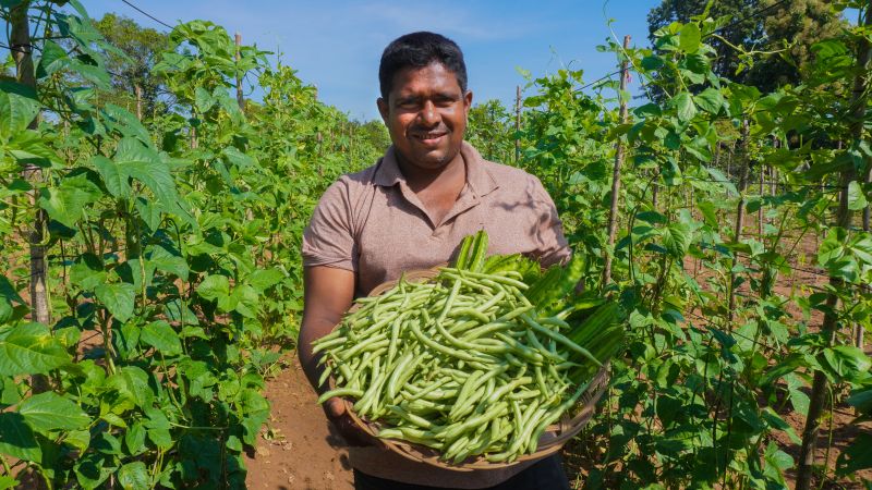 Nihal Ranasingha on LinkedIn: 0786974418 Call for 100% organic ... Nihal Ranasingha on LinkedIn: 0786974418 Call for 100% organic ...