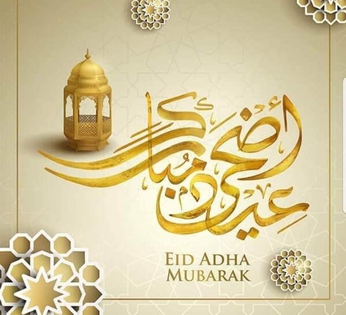 Romany Tharwat on LinkedIn: EID ADHA MUBARAK Romany Tharwat on LinkedIn: EID ADHA MUBARAK