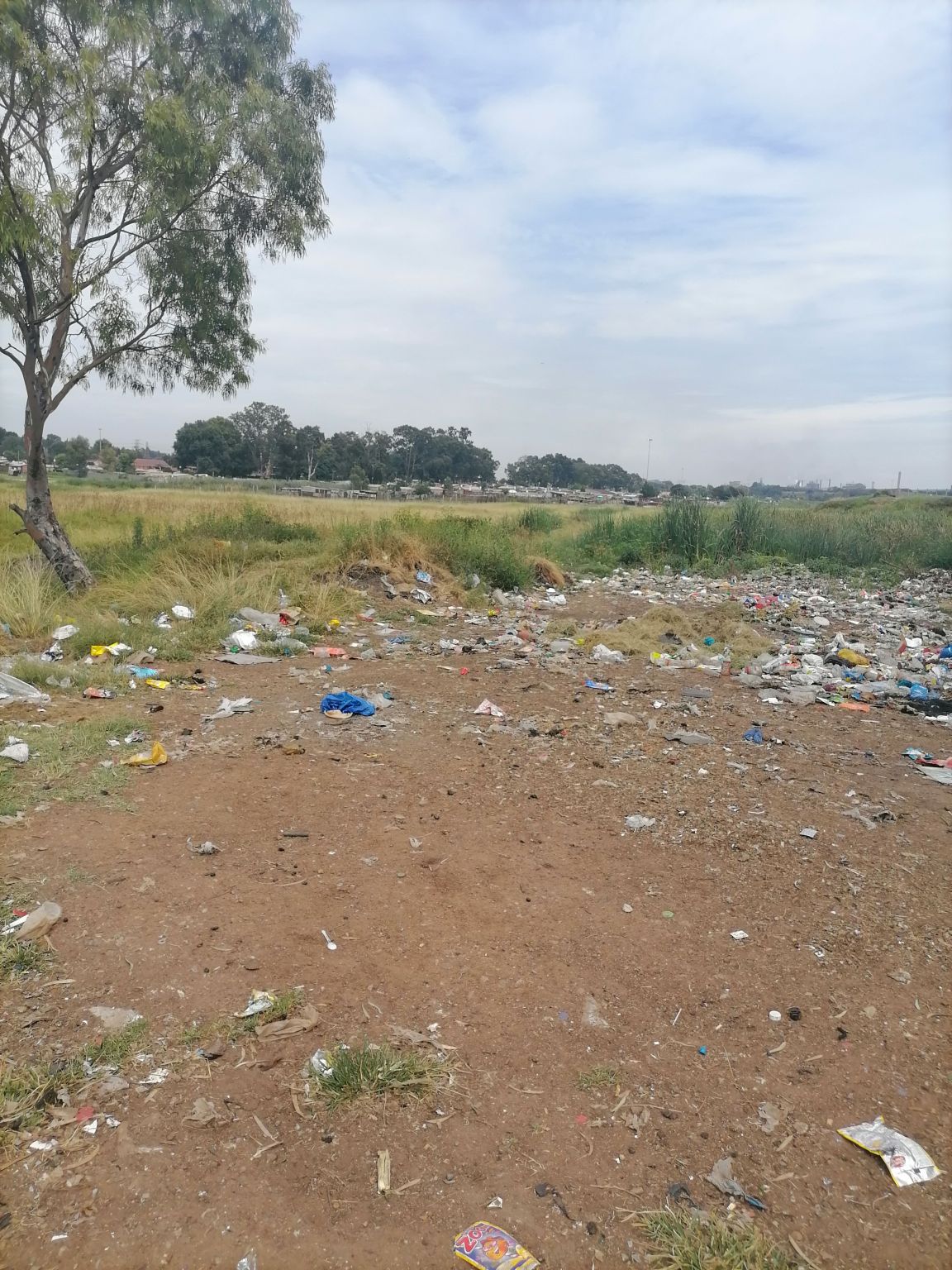 Mzimkhulu Monapathi, Ph.D., Pri.Sci.Nat., MWISA on LinkedIn: Illegal ... Mzimkhulu Monapathi, Ph.D., Pri.Sci.Nat., MWISA on LinkedIn: Illegal ...